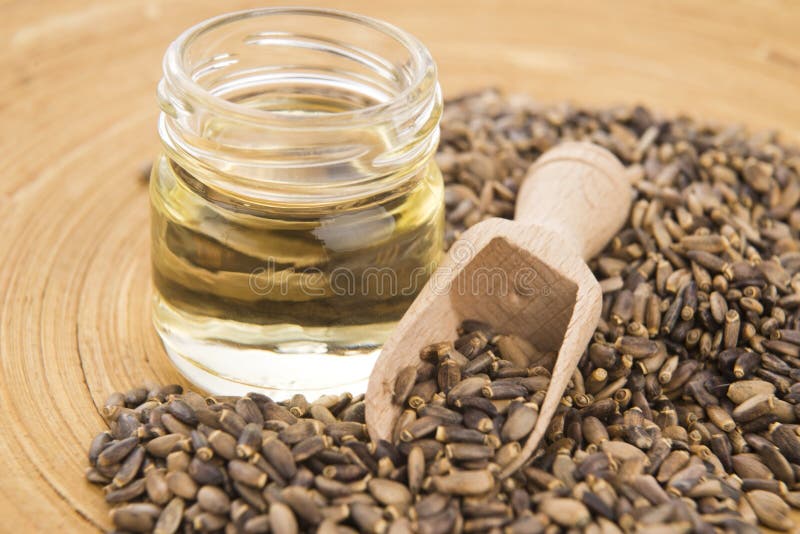 Semi Di Un Cardo Selvatico Di Latte Fotografia Stock - Immagine di ...