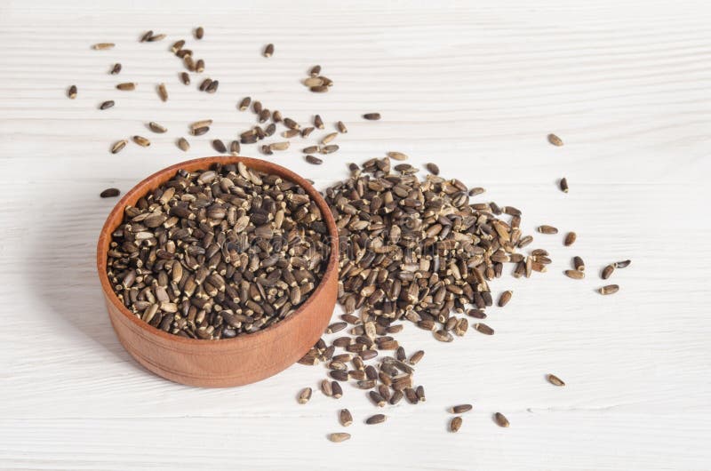 Semi Di Un Cardo Selvatico Di Latte Immagine Stock - Immagine di ...