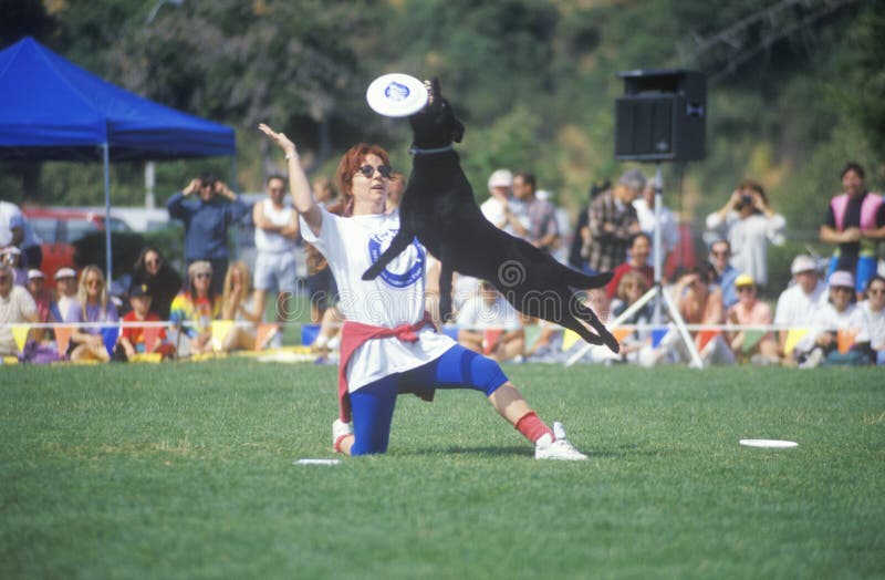 Semi-Finals of Canine Frisbee Contest Editorial Image - Image of woman ...