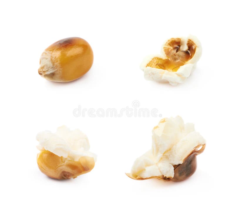 Semi-opened Popcorn Kernel Isolated Stock Photo - Image of movie, shot ...