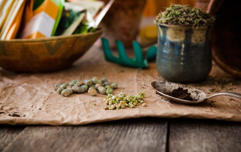 Semi per piantare fotografia stock. Immagine di coltivazione - 29312496