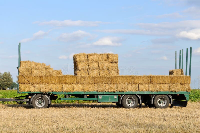 Semi Trailer for Transporting Haystack Stock Photo - Image of grass ...