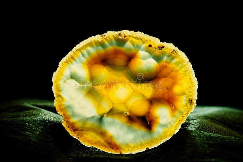 Semi-translucent Slice of Agate Quartz Silica Gem Stock Photo - Image ...