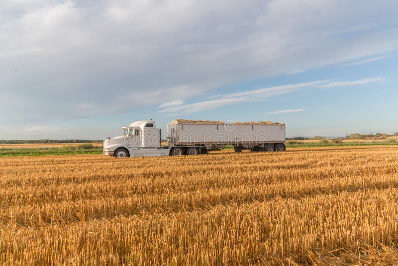 Semi Truck with a Load Grain Stock Image - Image of business ...