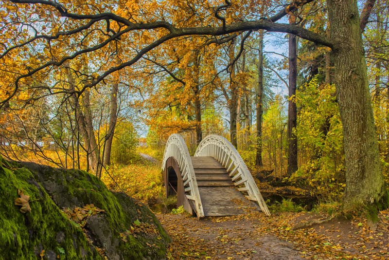 Bridge Across the Canal in the Autumn Park Stock Photo - Image of leaf ...