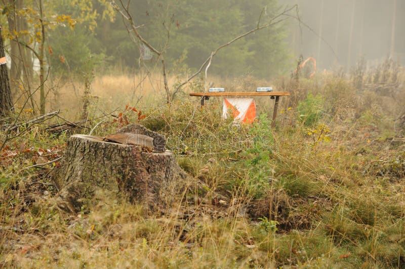 Semifinal Orienteering Checkpoint with Electronic Punching System on ...