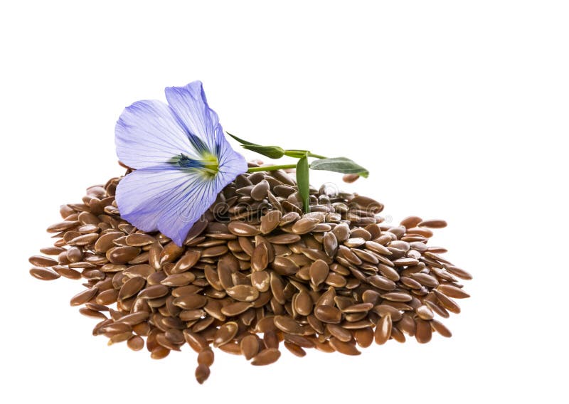 Linaza imagen de archivo. Imagen de alimento, seco, gérmenes - 20653421
