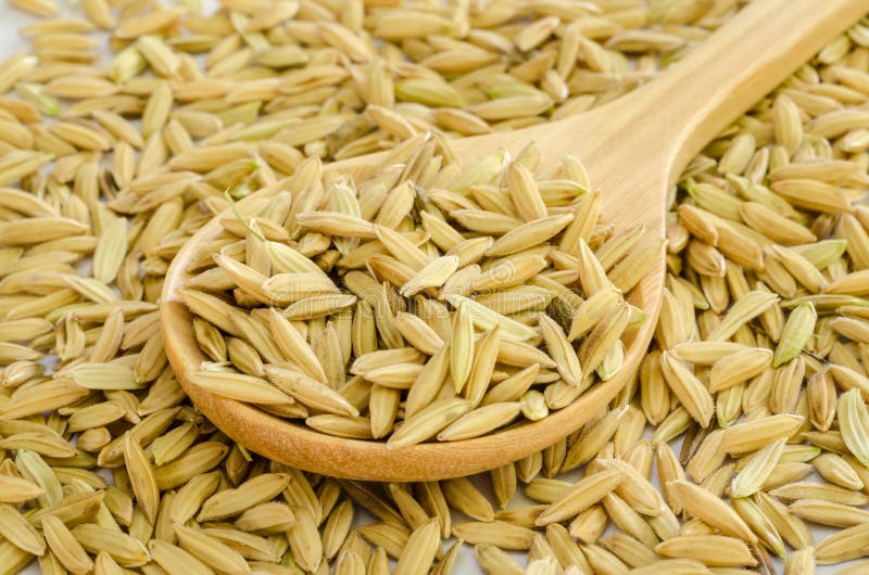 Semilla del arroz. imagen de archivo. Imagen de alimento - 35205503