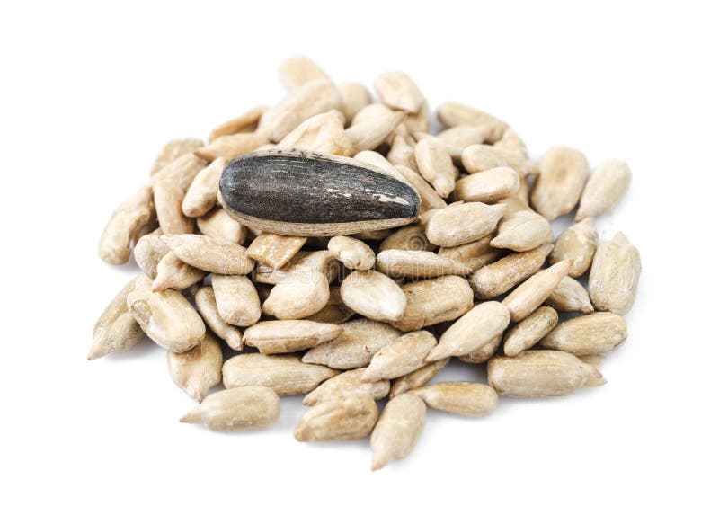 Semilla Seca De Girasol Sobre Fondo Blanco. Foto de archivo - Imagen de ...