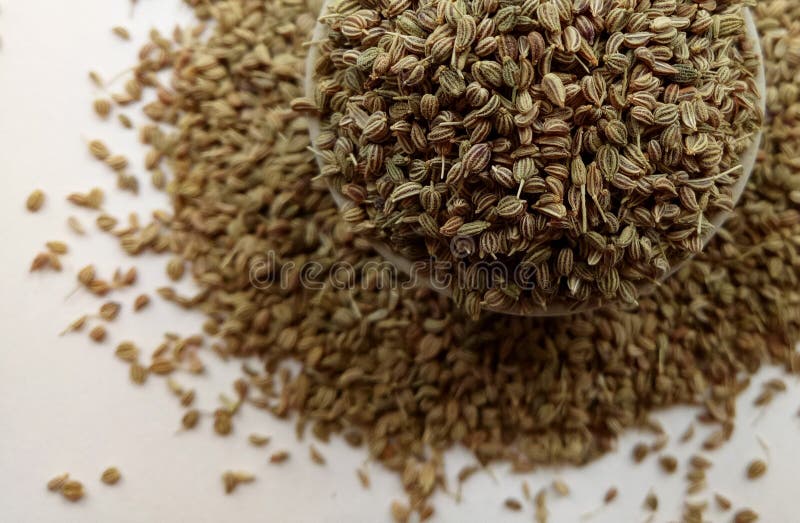 Semillas de apio foto de archivo. Imagen de curaciones - 98914482