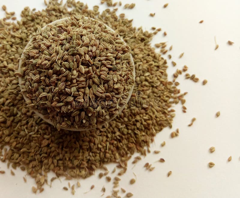 Semillas de apio foto de archivo. Imagen de curaciones - 98914482