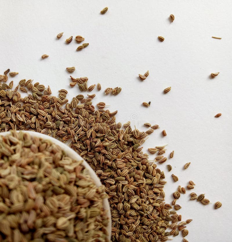 Semillas de apio foto de archivo. Imagen de indio, gusto - 98915180