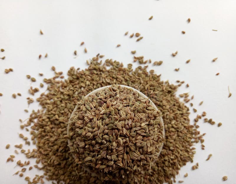Semillas de apio foto de archivo. Imagen de especia, fondo - 98915312