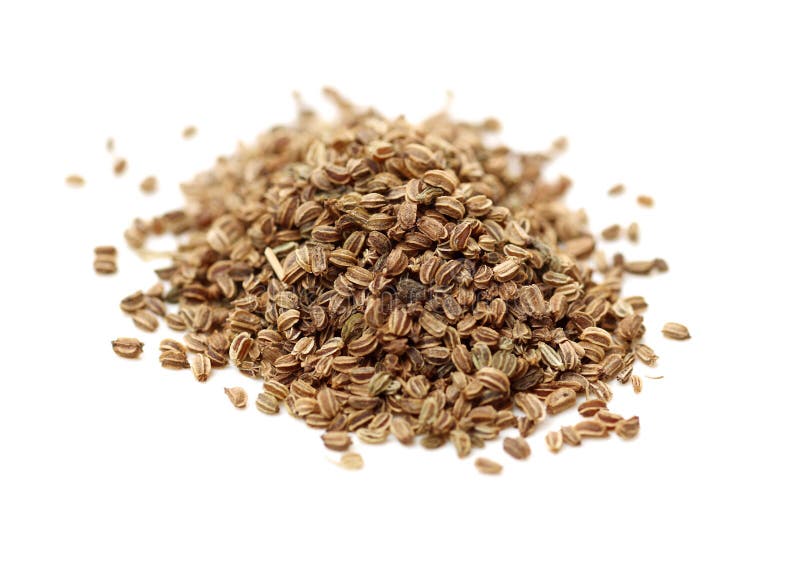 Semillas de apio imagen de archivo. Imagen de cocina - 164200039