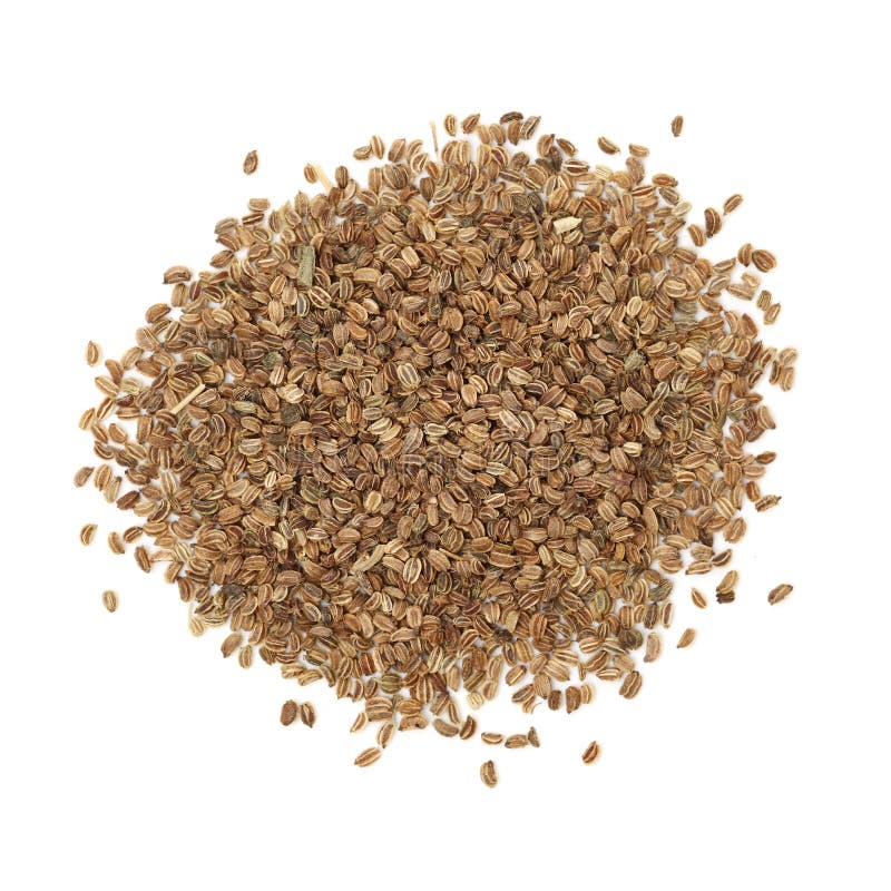 Semillas de apio imagen de archivo. Imagen de macro - 164200049