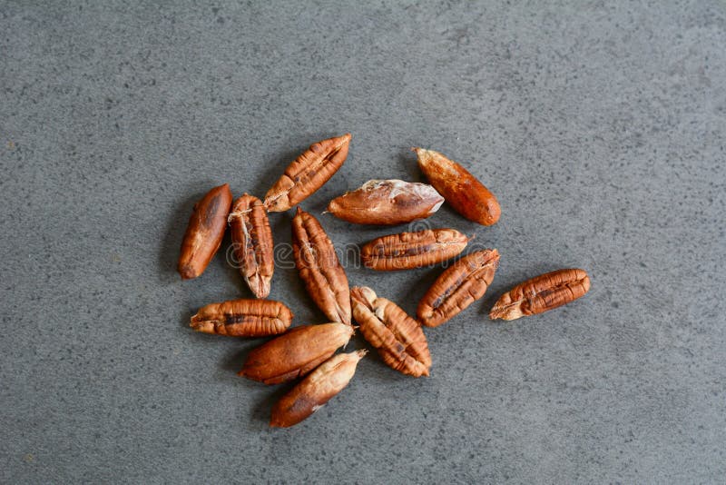 Semillas De La Palma Datilera Imagen de archivo - Imagen de botella ...