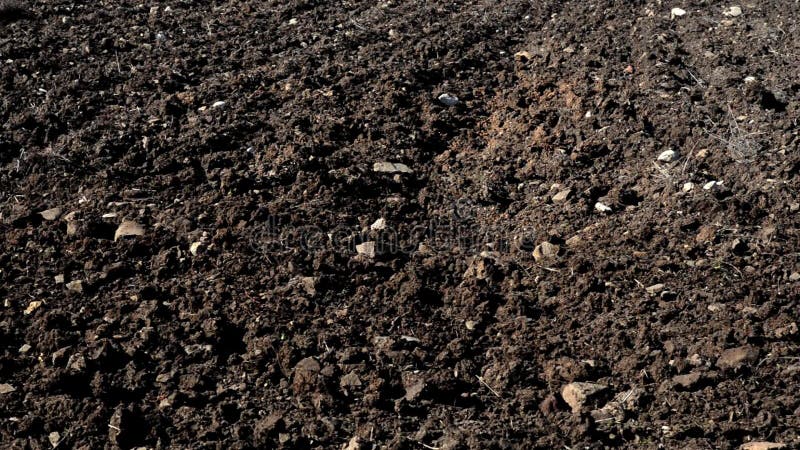 Semillas De La Siembra Del Tractor Agrícola Almacen De Video - Vídeo de ...