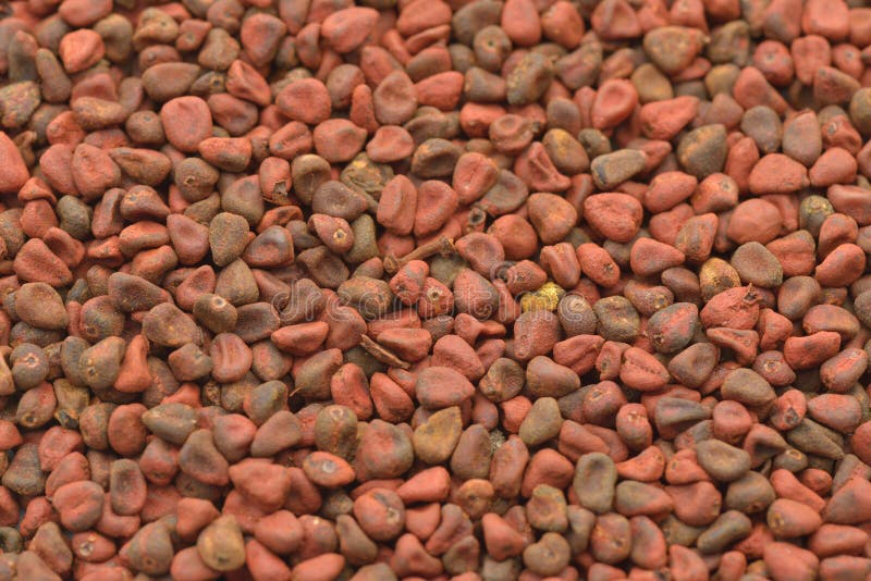 Semillas De Anatón, En Cuchara De Madera, Aisladas Sobre Fondo Blanco ...