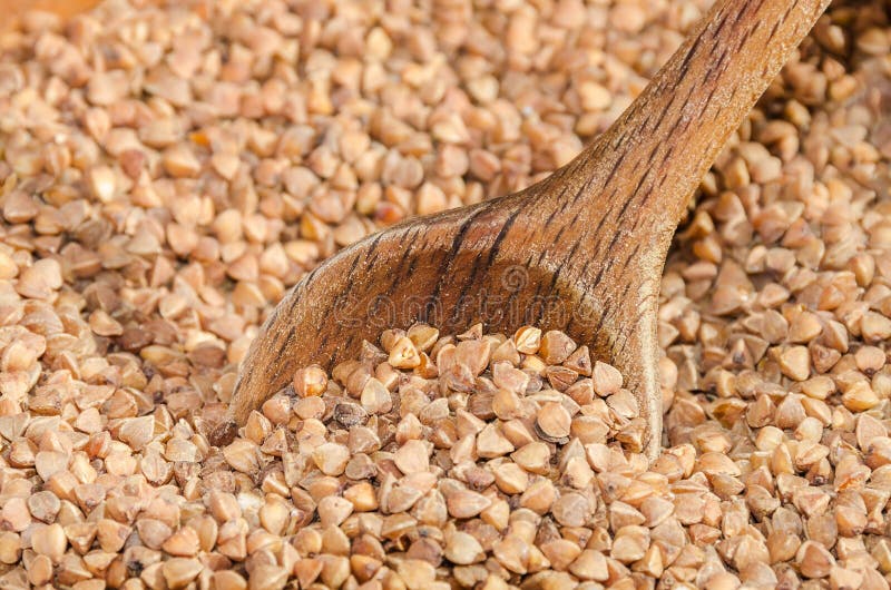 Semillas del alforfón imagen de archivo. Imagen de seco - 92185553