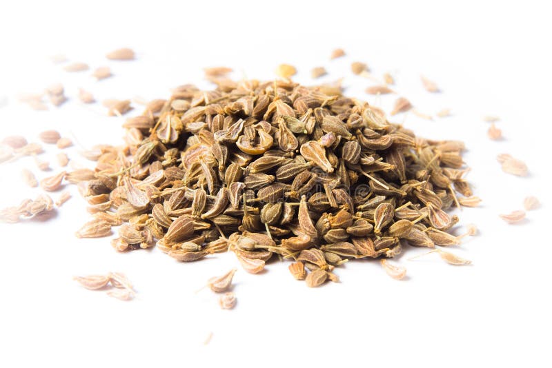 Semillas del anís en placa imagen de archivo. Imagen de estudio - 30390155