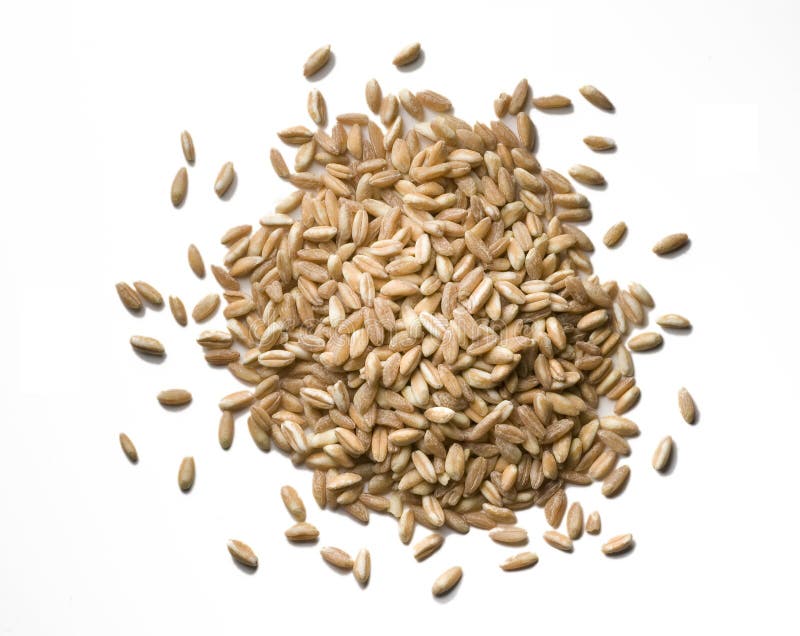Semillas del trigo imagen de archivo. Imagen de blanco - 33363361