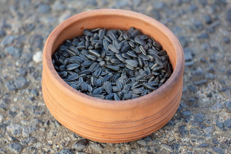 Semillas Negras En La Naturaleza Foto de archivo - Imagen de germen ...