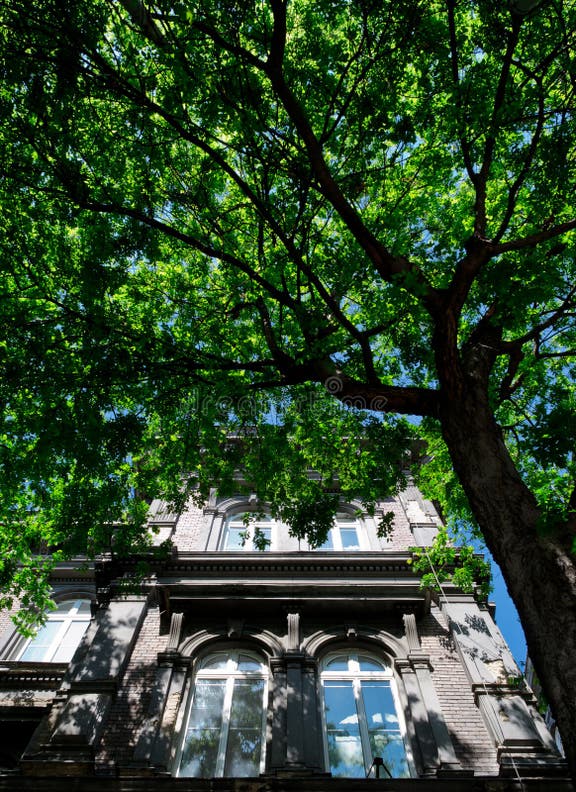 Semmelweis stock photo. Image of hungary, greenery, semmelweis - 24892458