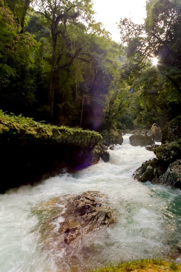 Semuc Champey Guatemala stock image. Image of landscape - 46861231