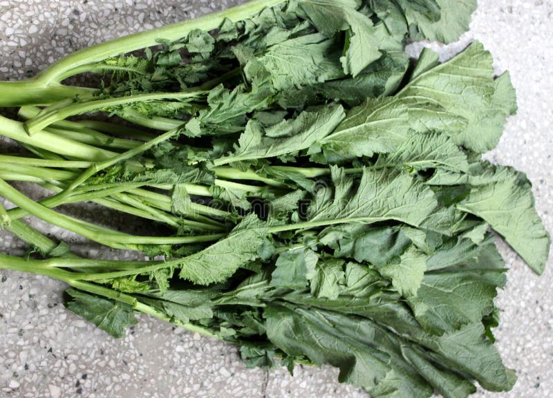 Senape Indiana, Senape Cinese Immagine Stock - Immagine di semi ...