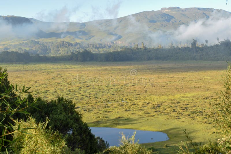Senderismo El Monte Kenia, Kenia Imagen de archivo - Imagen de parque ...