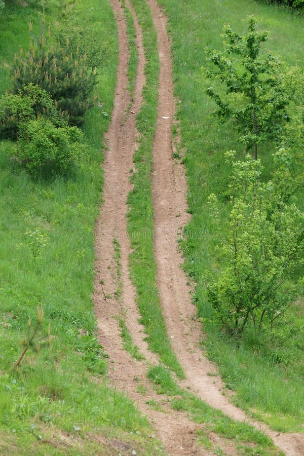 Sendero Con Dos Senderos Que Escalan El Bosque Imagen de archivo ...