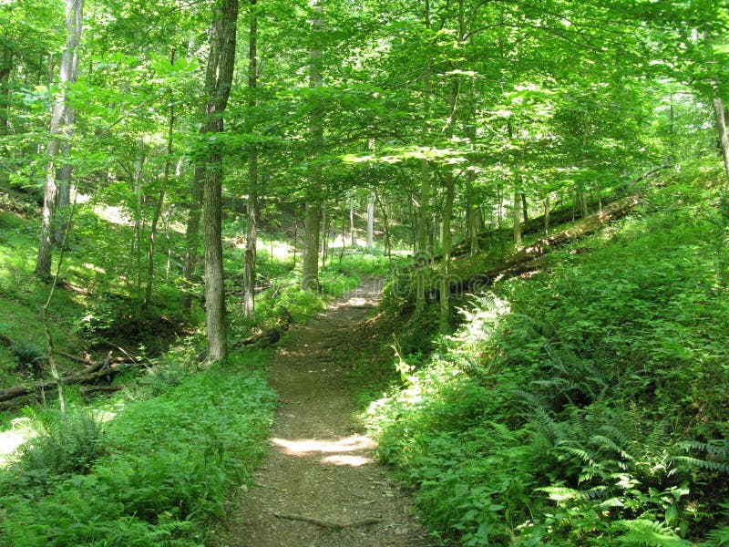 The Seneca Creek Rim Trail in Maryland Stock Image - Image of trail ...