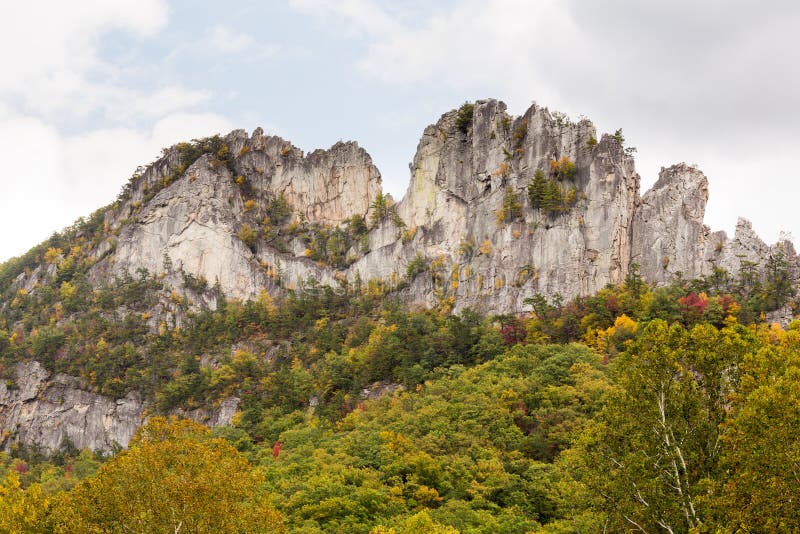 Seneca Rocks Trilha Monongahela Floresta Nacional Oeste Virgínia Foto ...