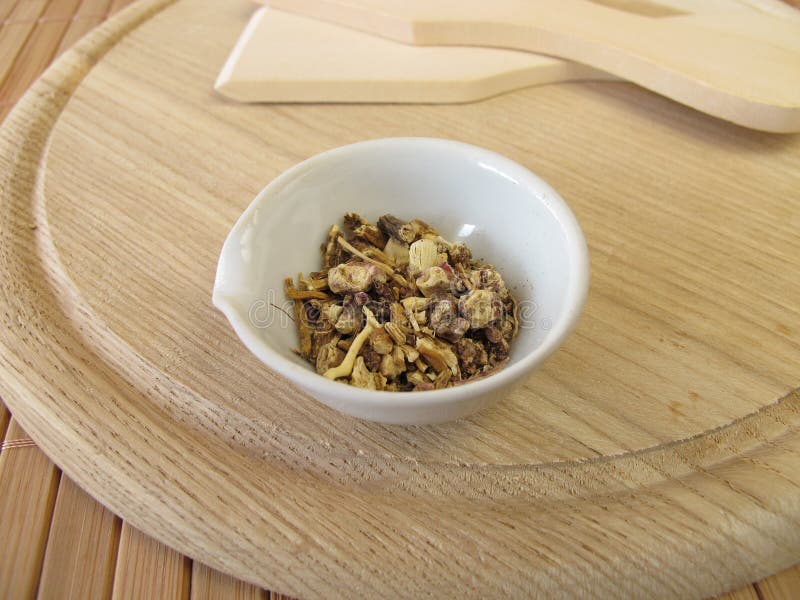 Senega Root, Polygalae Radix Stock Image - Image of herbs, dried: 23260875