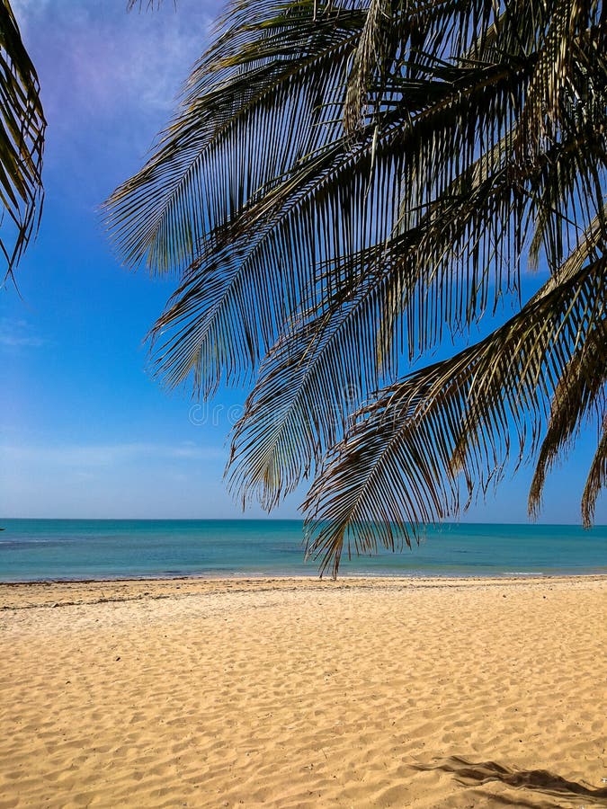 Senegal beach stock photo. Image of sand, africa, landscape - 161943106