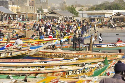 Senegal fish market editorial stock image. Image of colorful - 23654334