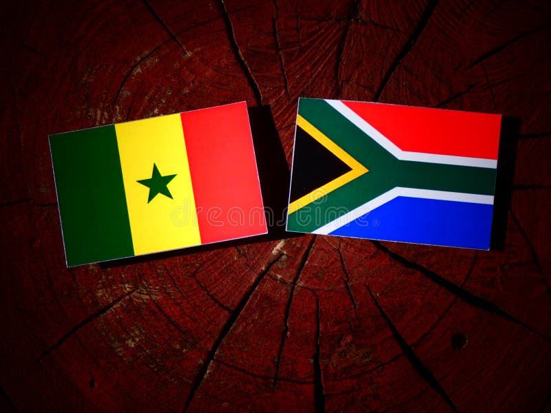 Senegal Flag with South African Flag on a Tree Stump Isolated Stock ...