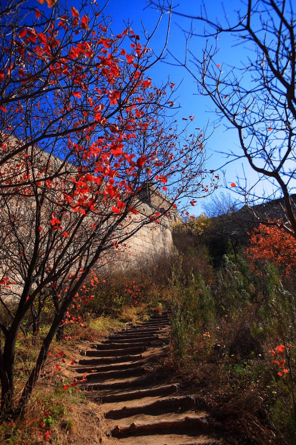 Senery at the Great Wall stock photo. Image of great, season - 3611524