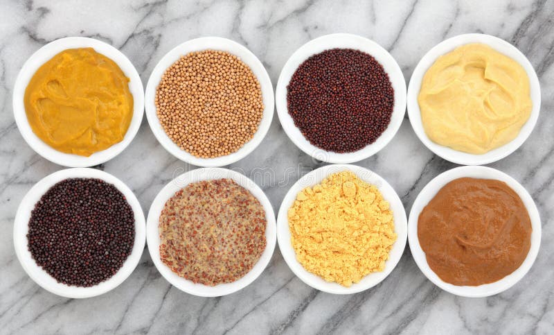 Senf-Arten stockbild. Bild von gewürz, puder, senf, nahrung - 31735329