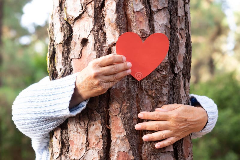 Heart Earth stock image. Image of globe, valentine, icon - 49230577 Heart Earth stock image. Image of globe, valentine, icon - 49230577