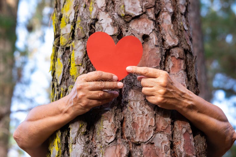 Heart Earth stock image. Image of globe, valentine, icon - 49230577 Heart Earth stock image. Image of globe, valentine, icon - 49230577