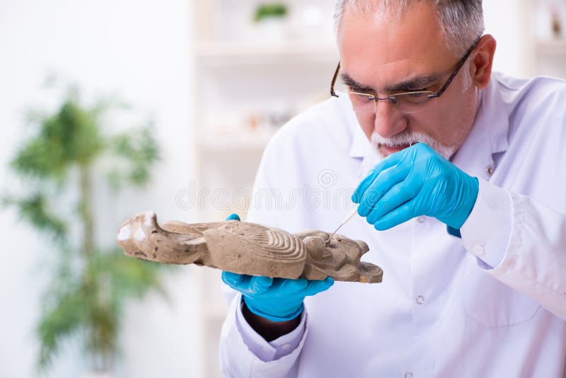 Senior Archaeologist Studying Ancient African Stonemask Stock Image ...