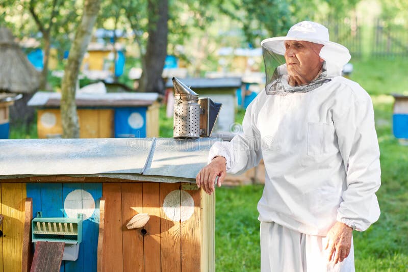 Senior Beekeeper Working at His Apiary Stock Image - Image of honey ...
