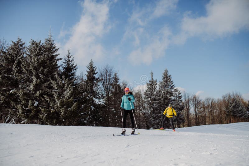 Senior Couple Skiing Together in the Middle of Forest. Stock Photo ...