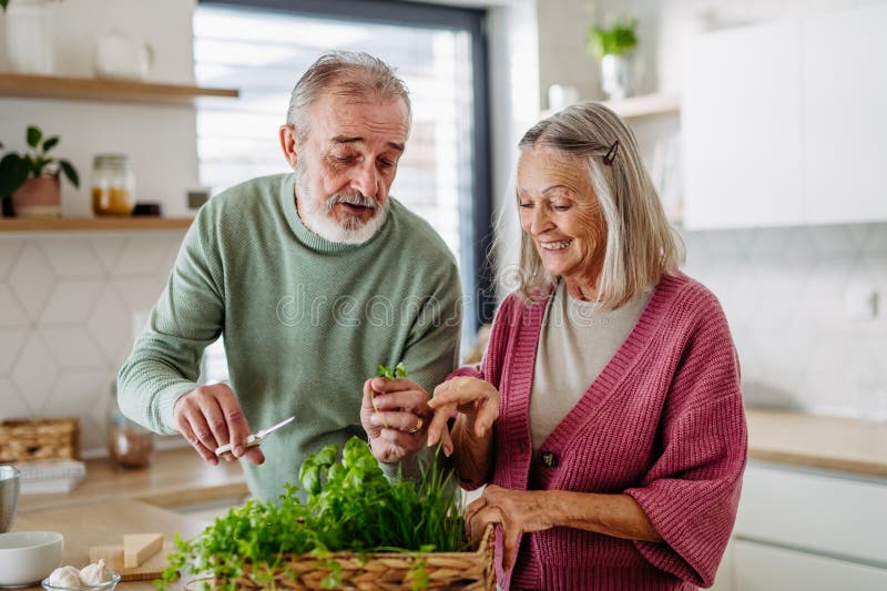 Senior Couple Smelling Fresh Herbs during Cooking. Stock Photo - Image ...