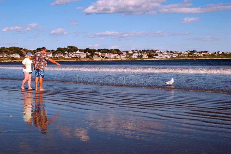 A Senior Couple Wades in the Shallow Waters Editorial Image - Image of ...