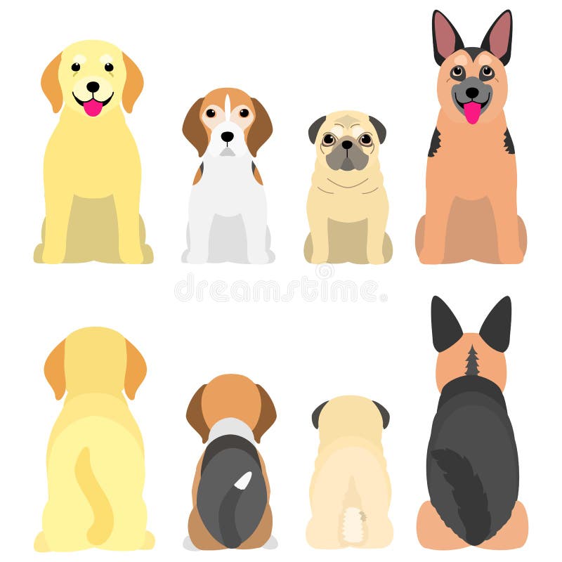 Senior Dogs in a Row, Front and Back Stock Vector - Illustration of ...