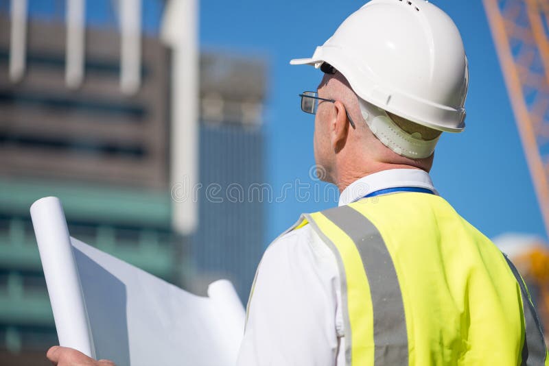 244 Back View Engineer Looking Plan Stock Photos - Free & Royalty-Free ...