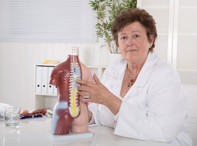 Senior Female Doctor Explaining the Human Body with Torso. Stock Image ...