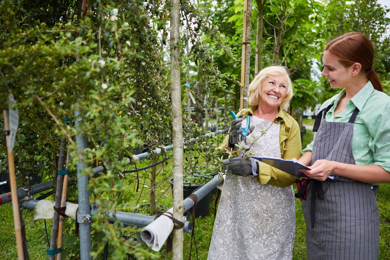 Senior Gardener and Young Apprentice Work Together Stock Image - Image ...